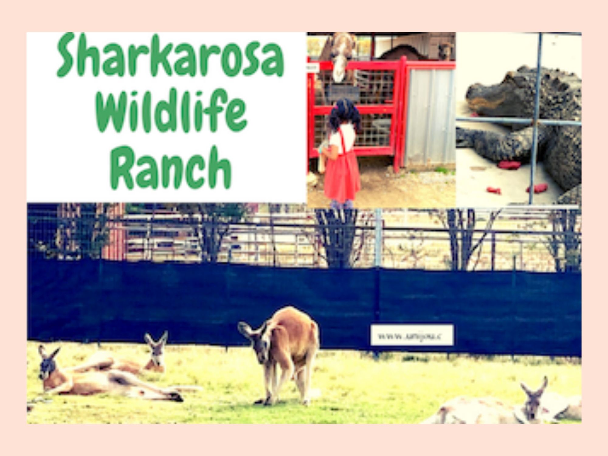 Sharkarosa Wildlife Ranch | Unijou